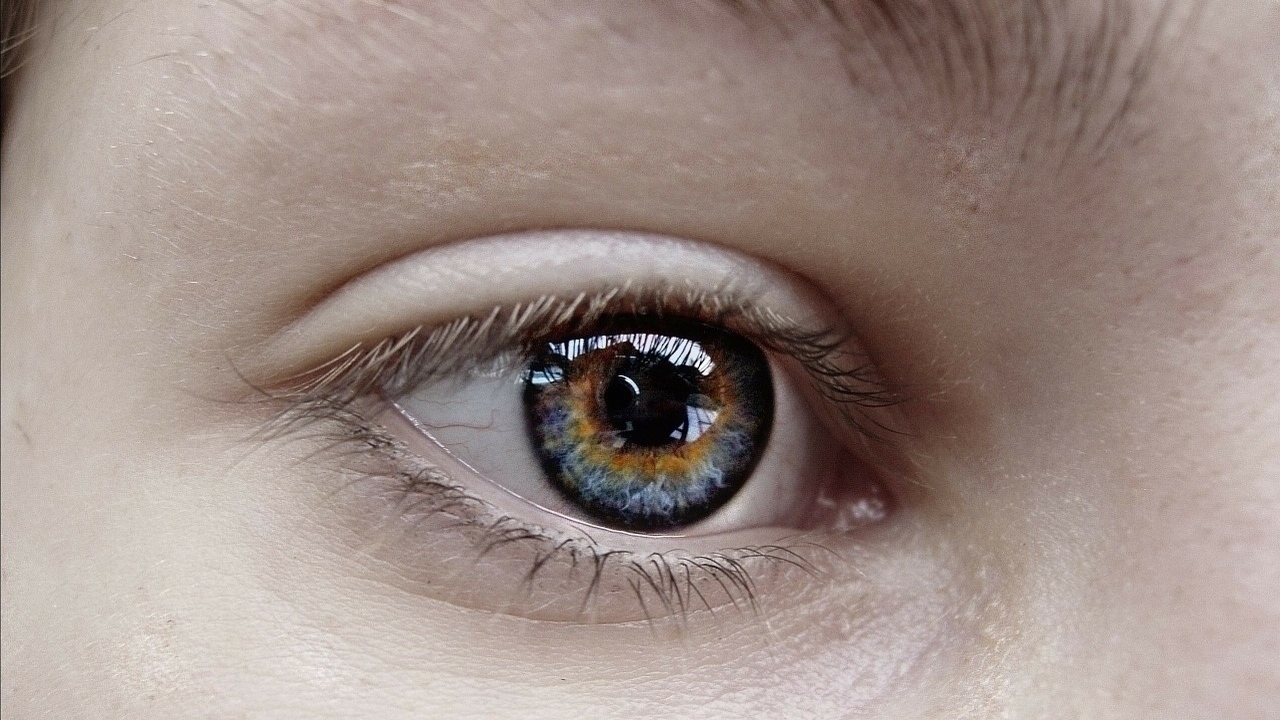 The Science Behind Color Blindness And How People Are Affected