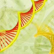 The Genetic Link to Breast Cancer