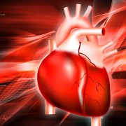 Can You Die From A Broken Heart? | EmpowHER - Women's Health Online