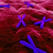 What are the Causes of Klinefelter Syndrome?