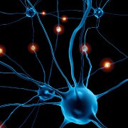 The Signs and Symptoms of Epilepsy